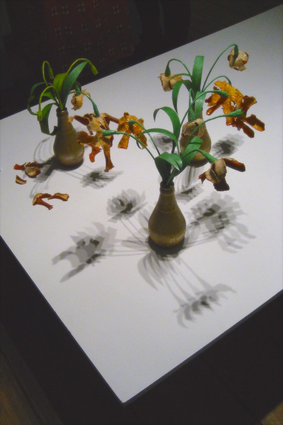 about – chloe grove